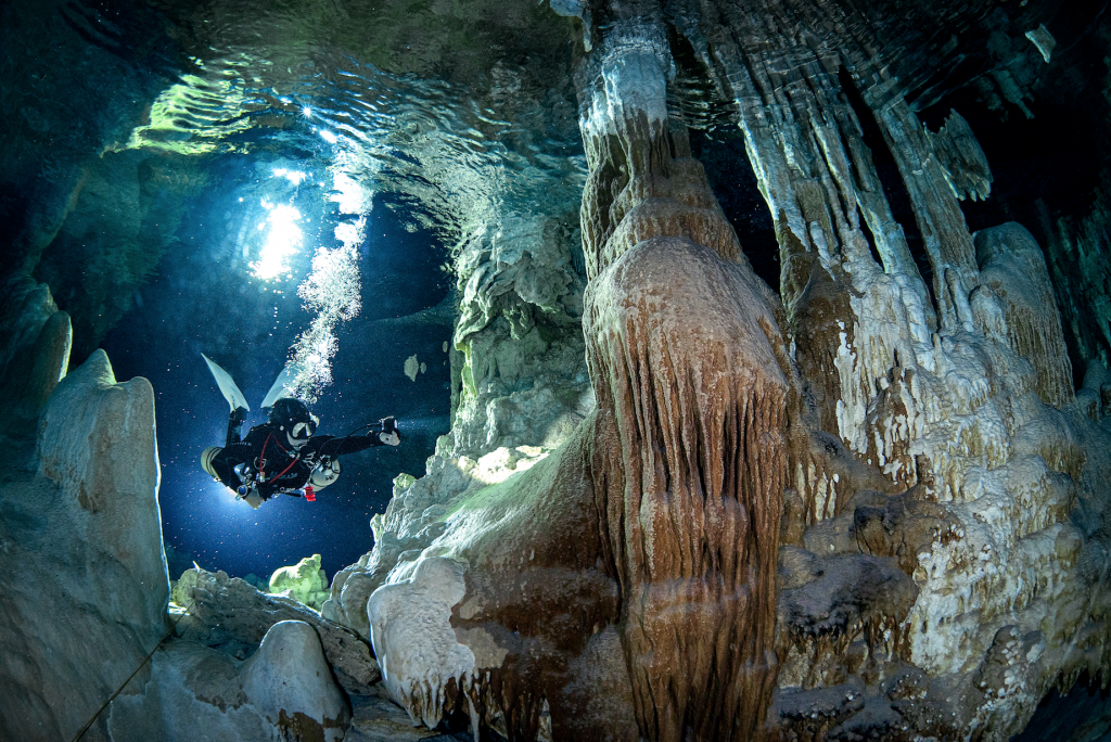 5 Top Places to Dive in Mexico - Hollis