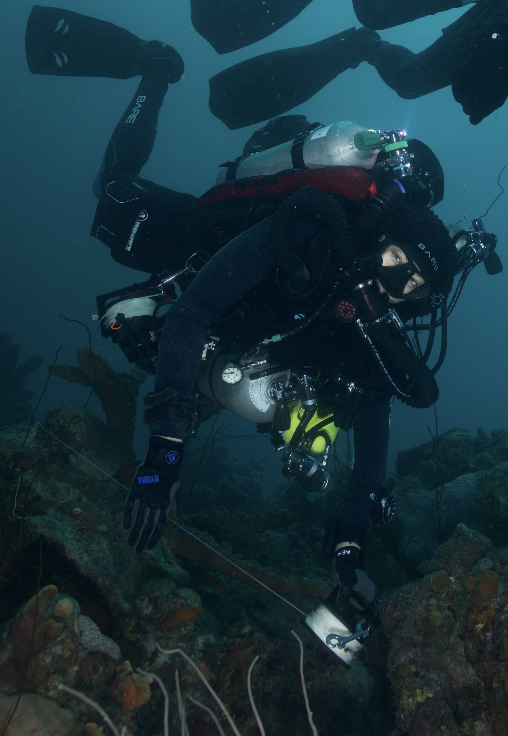 Women That Dive: 8 Questions for Allison Shafer - Hollis
